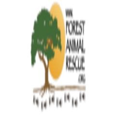 Forest Animal Rescue | Volunteering Platform